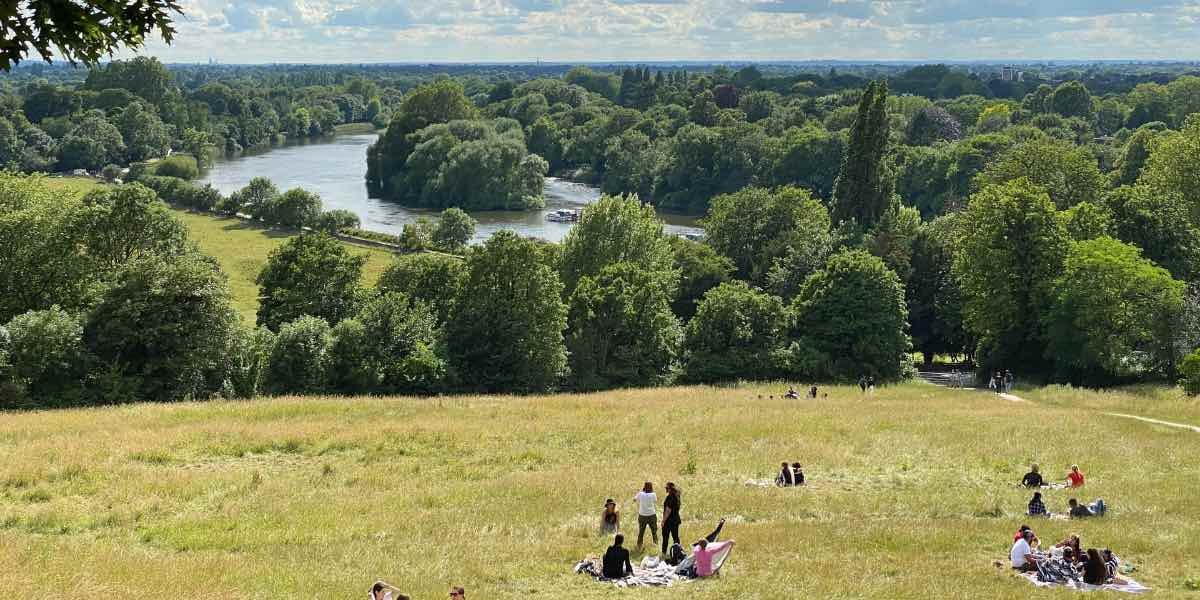 How Forest Park Conservation Boosts Portland's Eco-Tourism - Portland News